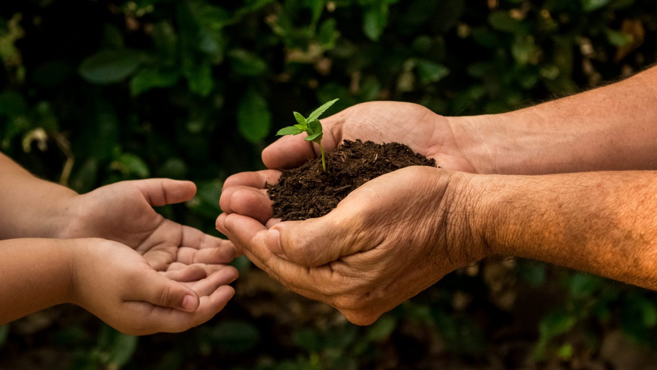 Legacy and Charitable Gifts - Center for Spiritual Living Santa Rosa